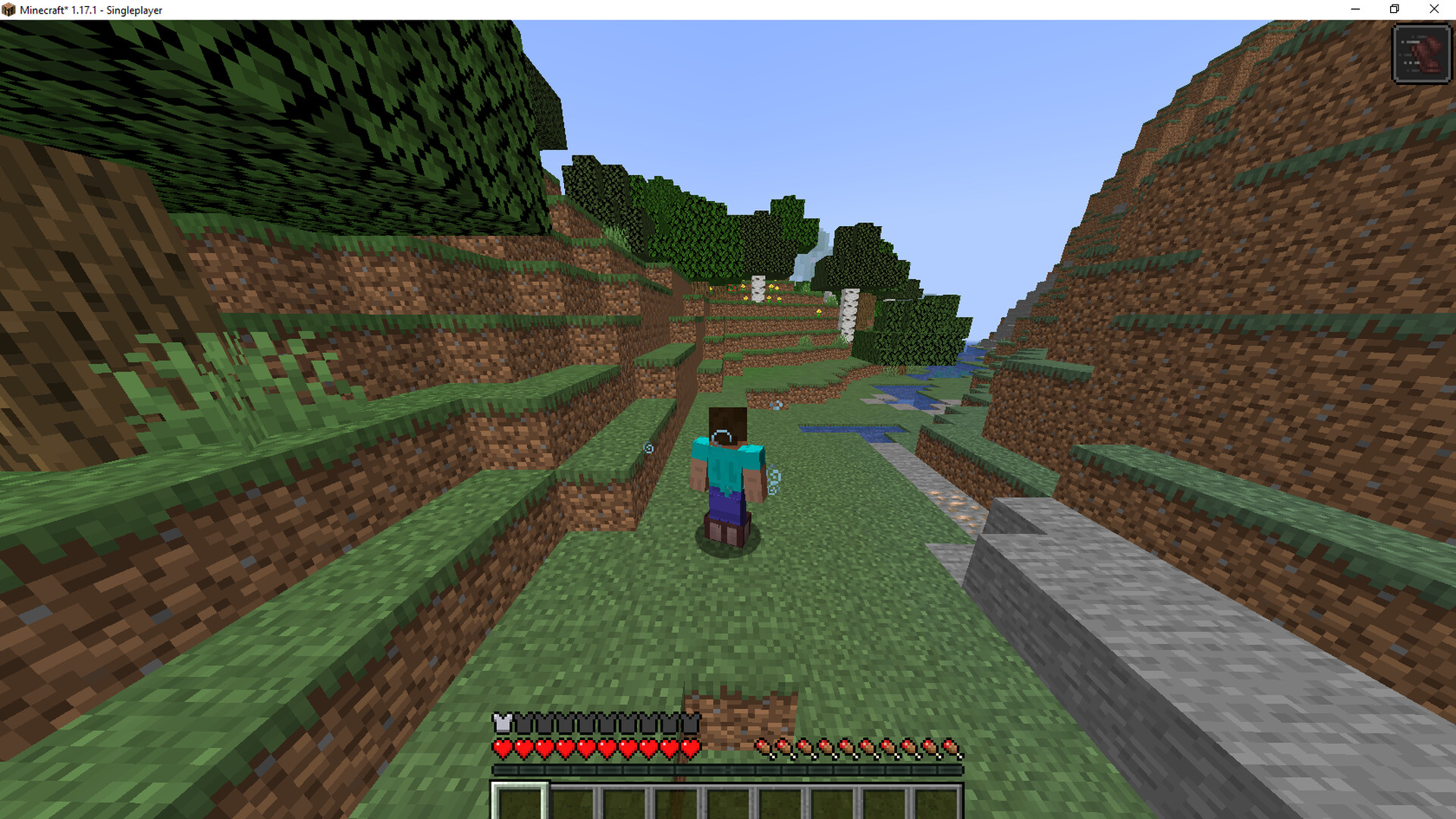 the flash Minecraft Mod