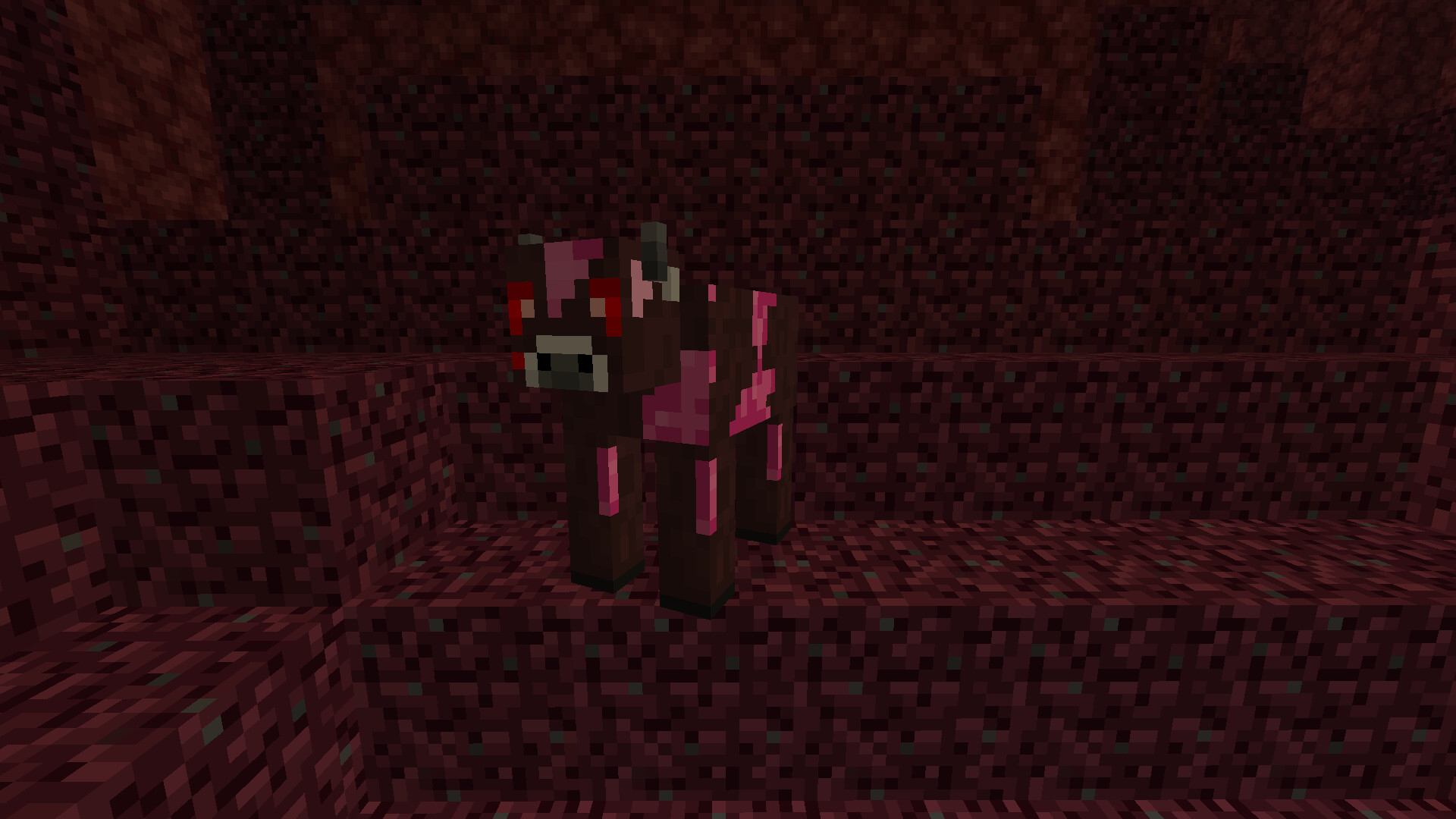 Nether Extension Minecraft Mod