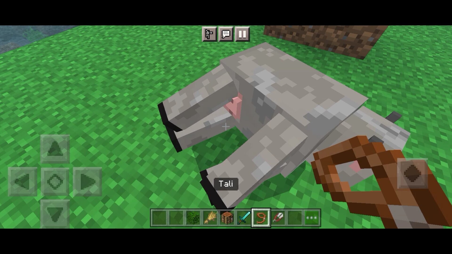 ADDON SPESIAL IDUL ADHA MCPE!! Minecraft Mod