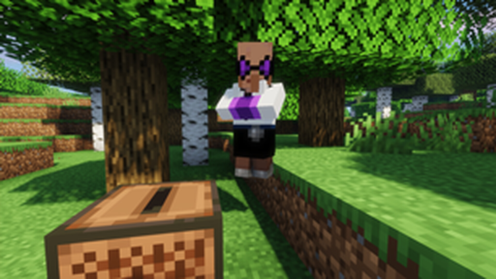 Disc holders & Dj Minecraft Mod