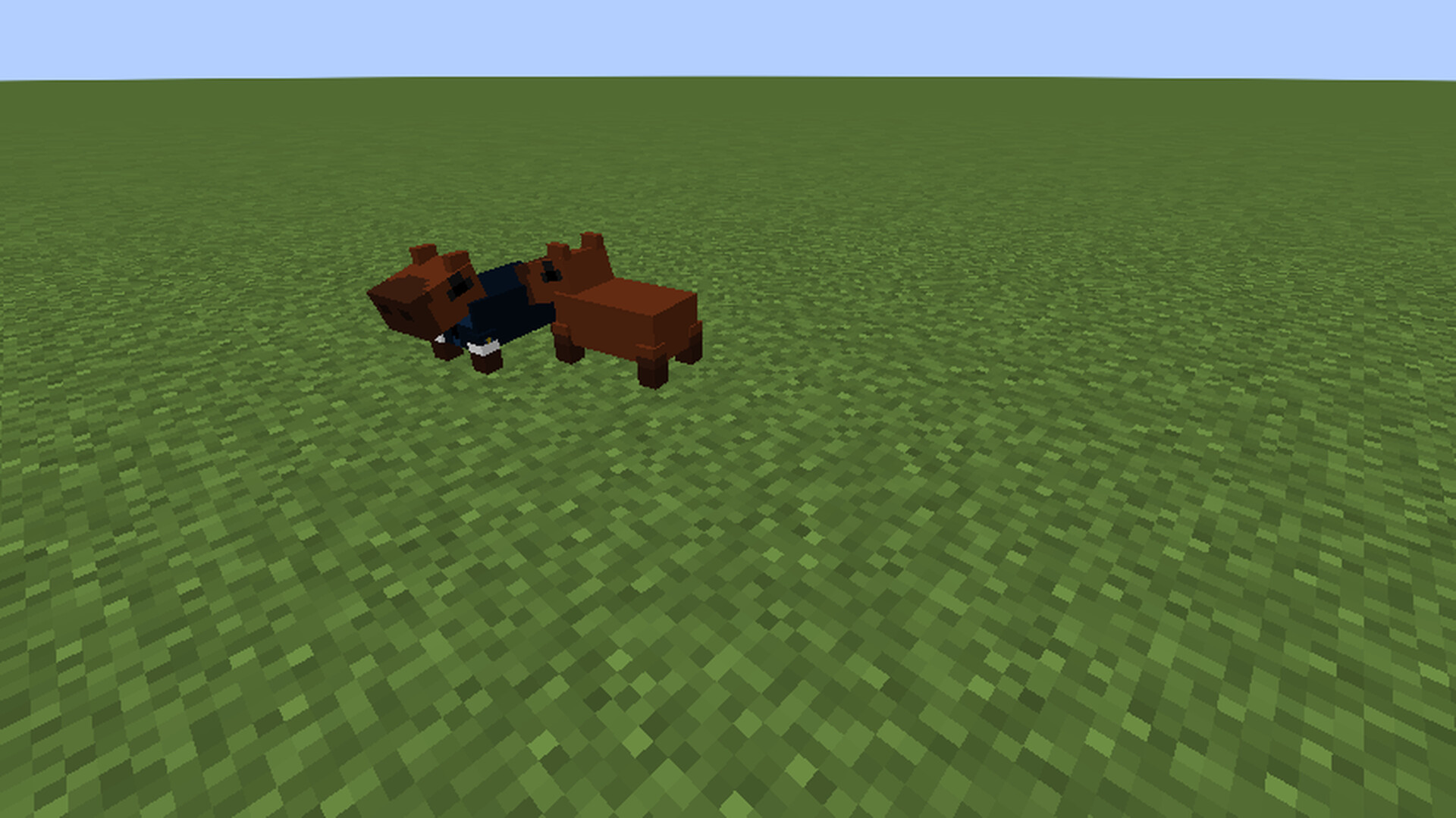 business coconut dogs Minecraft Mod