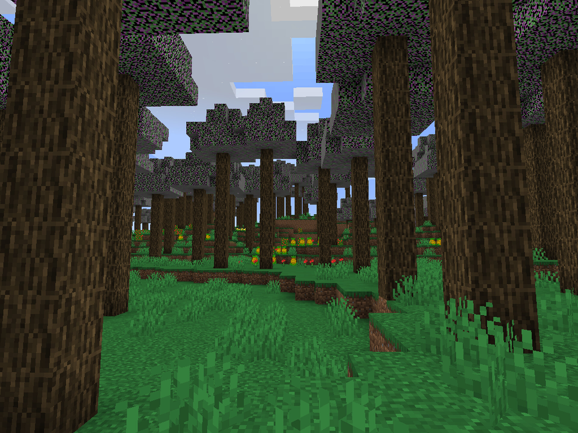 Biodiversity 1.16.5 Minecraft Mod