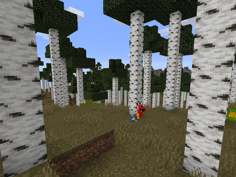 Biodiversity 1.16.5 Minecraft Mod