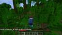 Dragon Boots Minecraft Mod