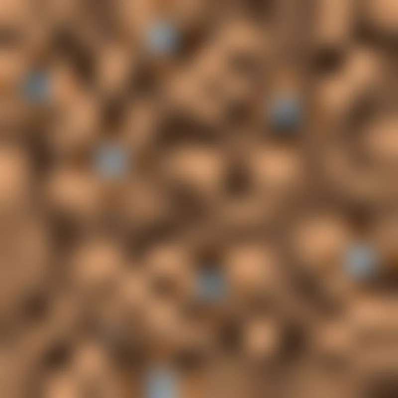 Ravencraft 1.0! Eaglercraft 1.0! Minecraft Mod