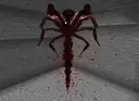 Arthropod Phobia Expansions + Horror Bosses (Spider Moth) Minecraft Mod