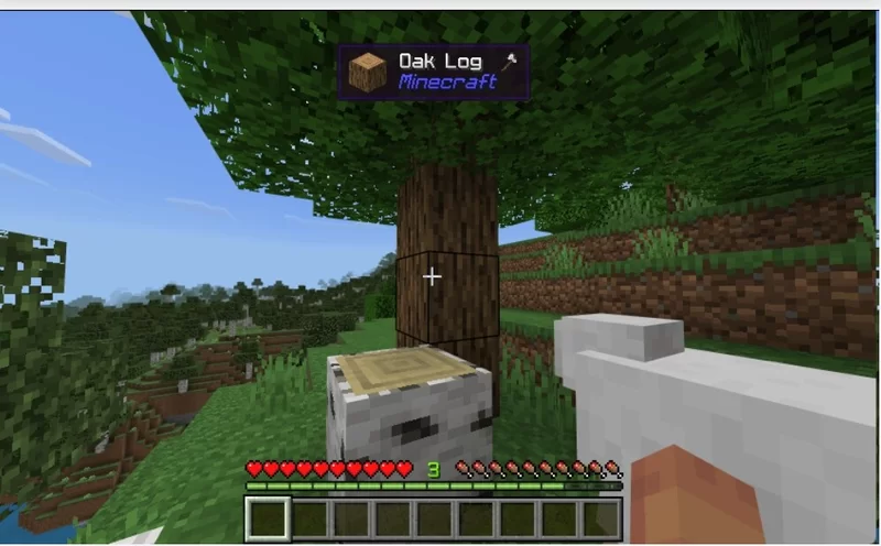 What I am looking at Minecraft Mod