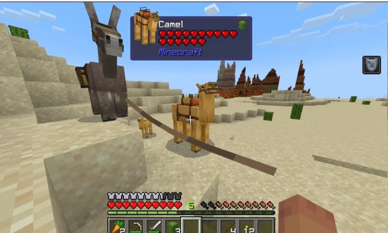 What I am looking at Minecraft Mod