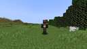 Null Mod V2 Minecraft Mod