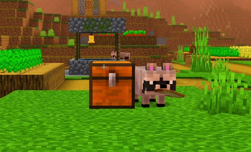 Raccoon's Addon Minecraft Mod