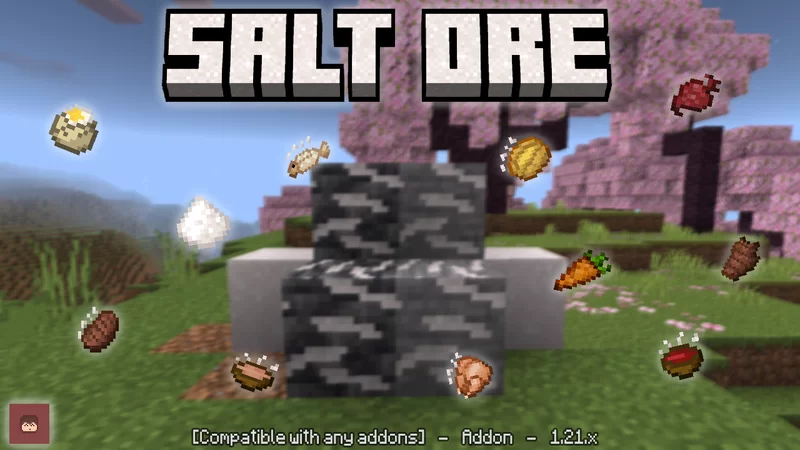 Salt Ore and Food Addon Minecraft Mod