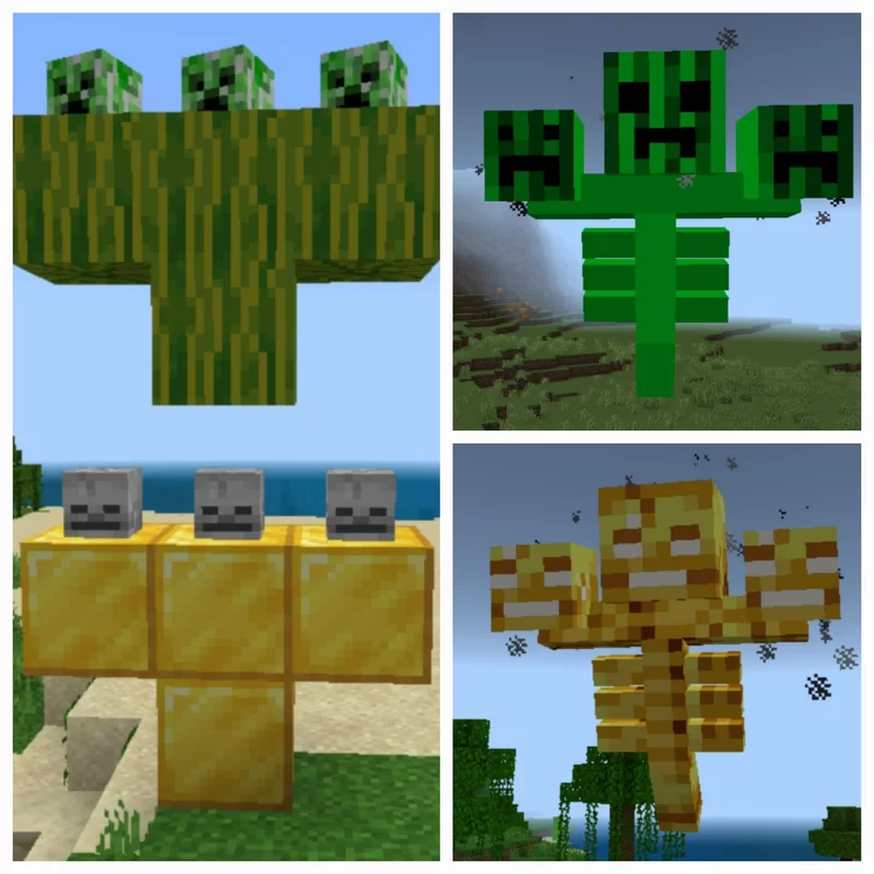 Wood Wither two Withers Minecraft Mod