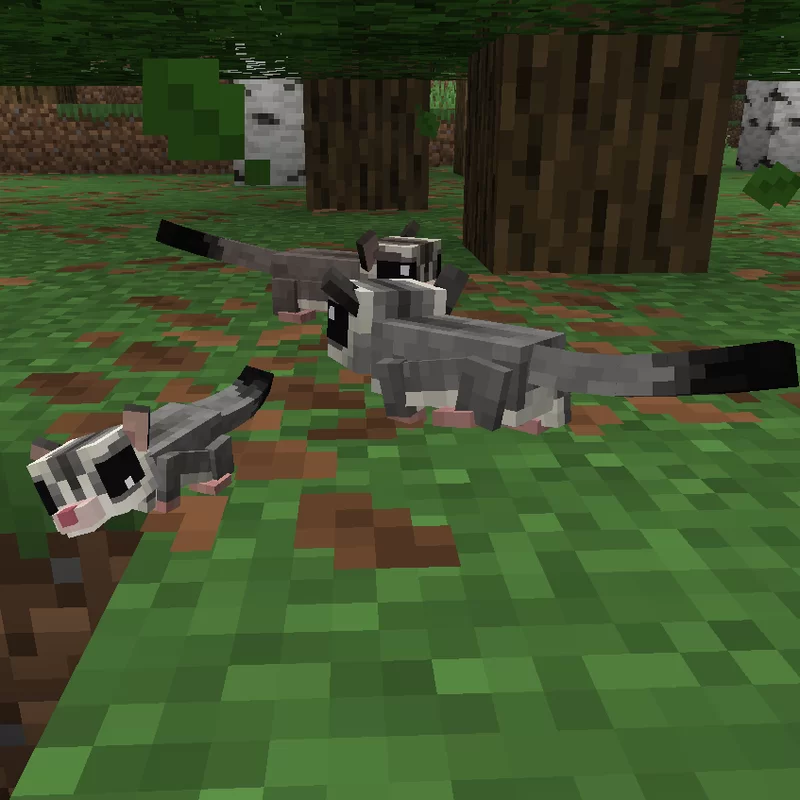 Animal Garden - Sugar Glider Minecraft Mod