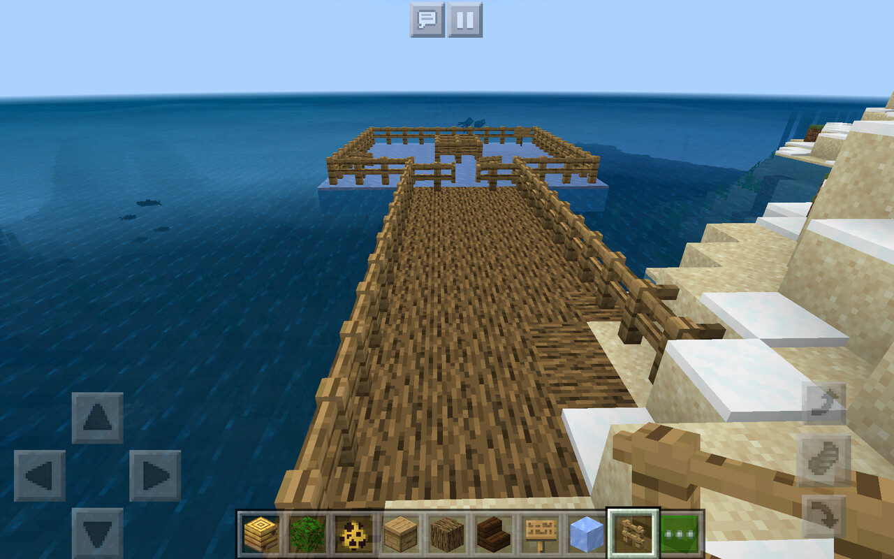 Skating Rink Minecraft Map