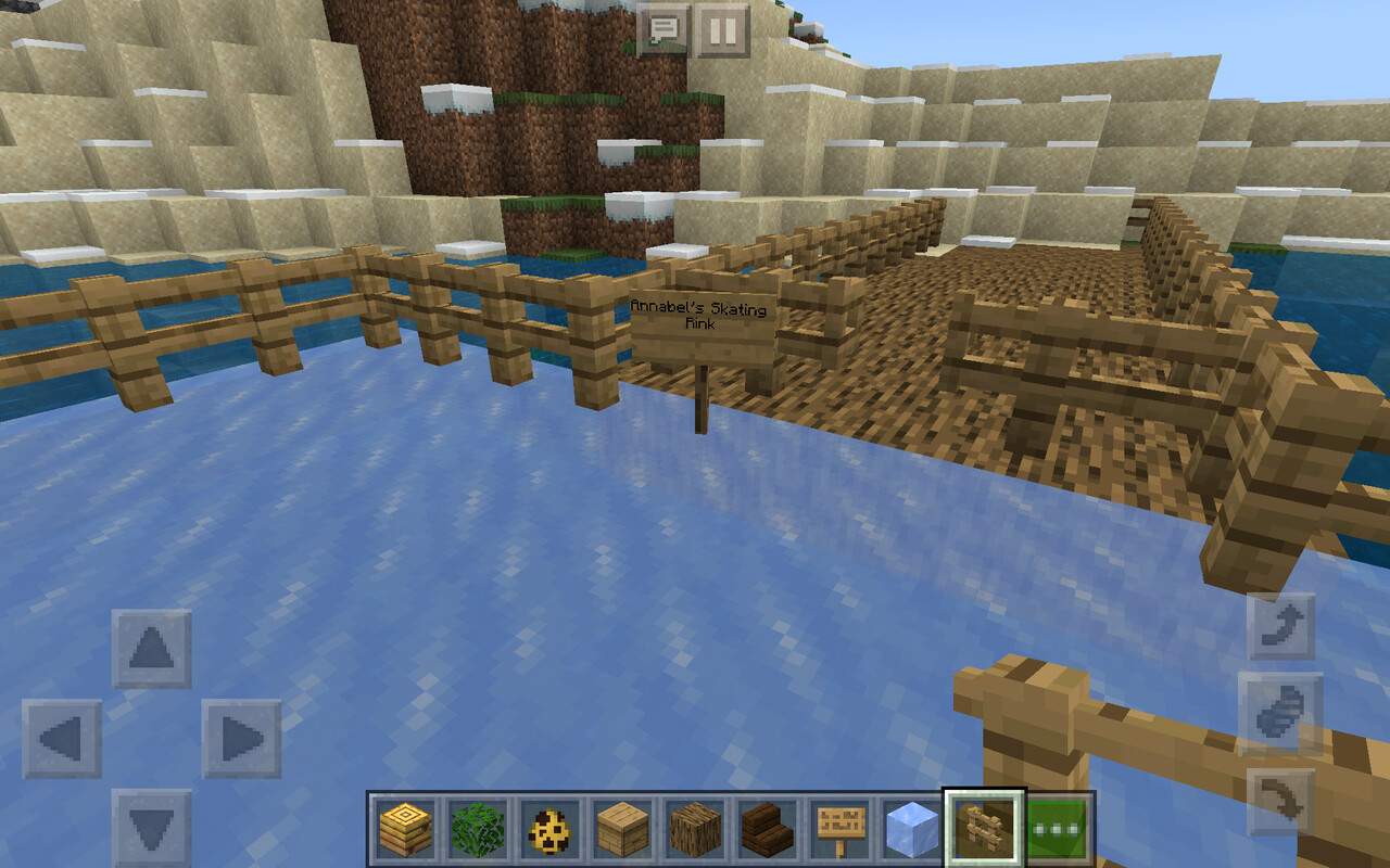 Skating Rink Minecraft Map