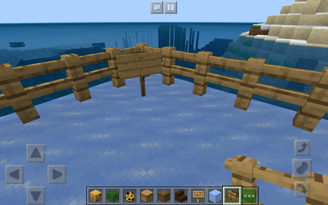 Skating Rink Minecraft Map