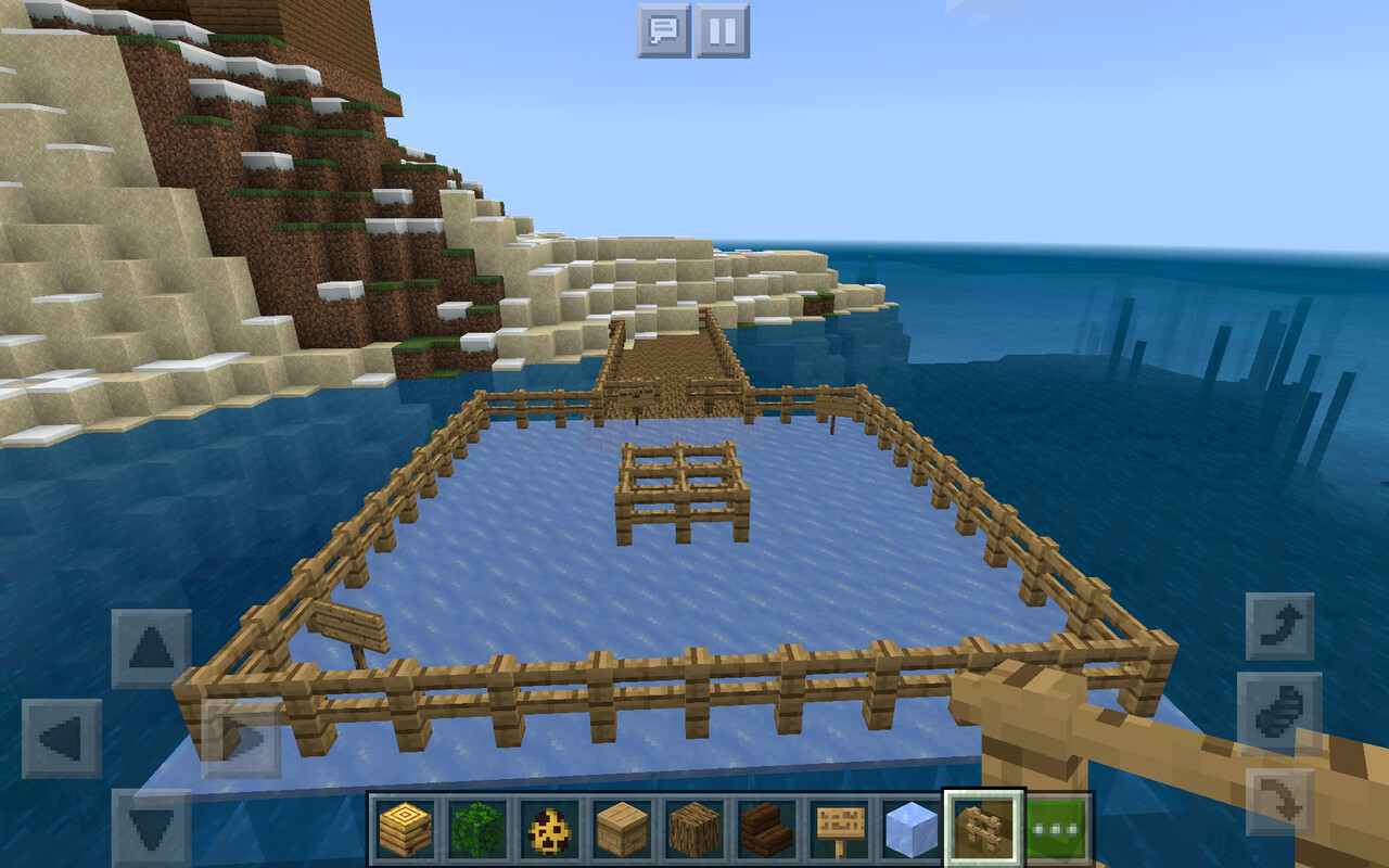 Skating Rink Minecraft Map