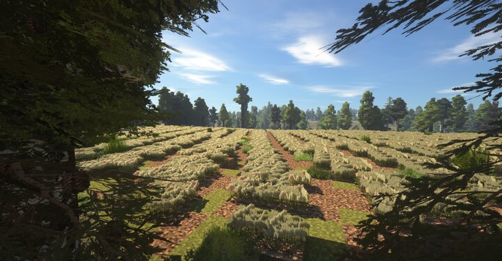 European Wheatfields Minecraft Map