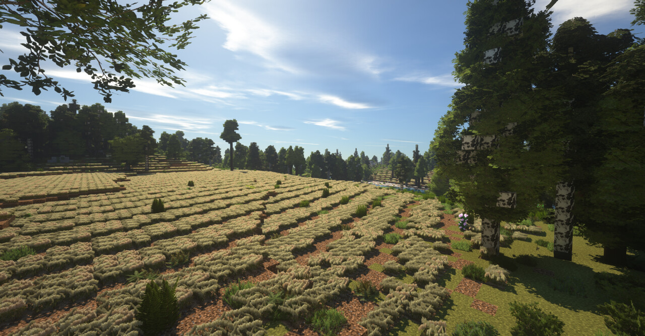 European Wheatfields Minecraft Map