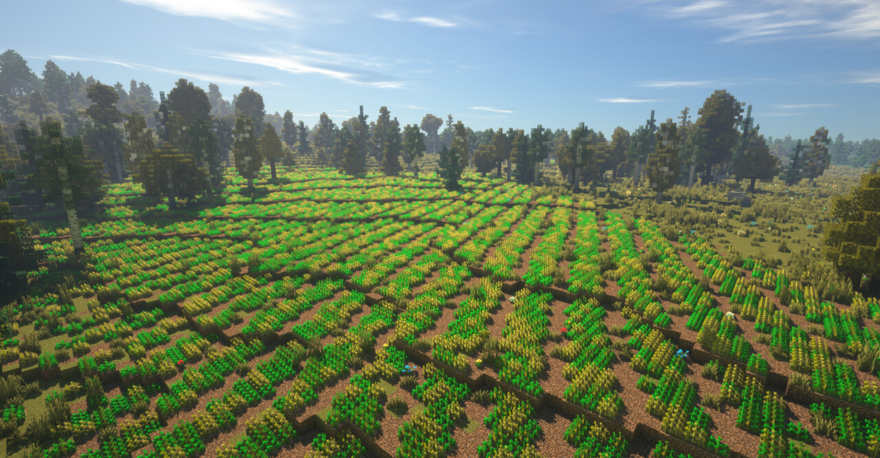 European Wheatfields Minecraft Map