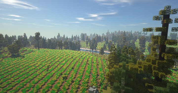 European Wheatfields Minecraft Map