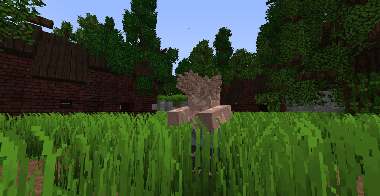 A Wild World Minecraft Map