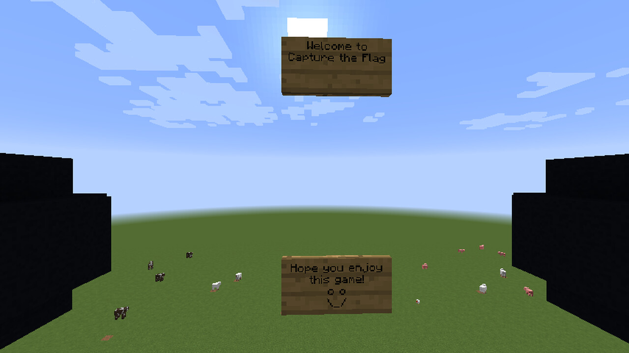 Capture the Flag Minecraft Map