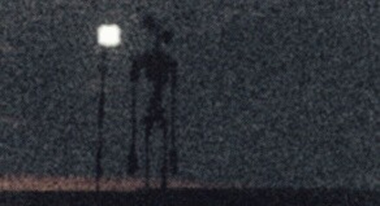 Siren Head Minecraft Map