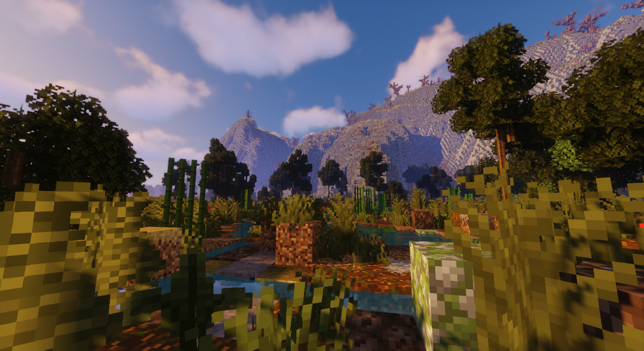 Realistic Swamp V2 Minecraft Map