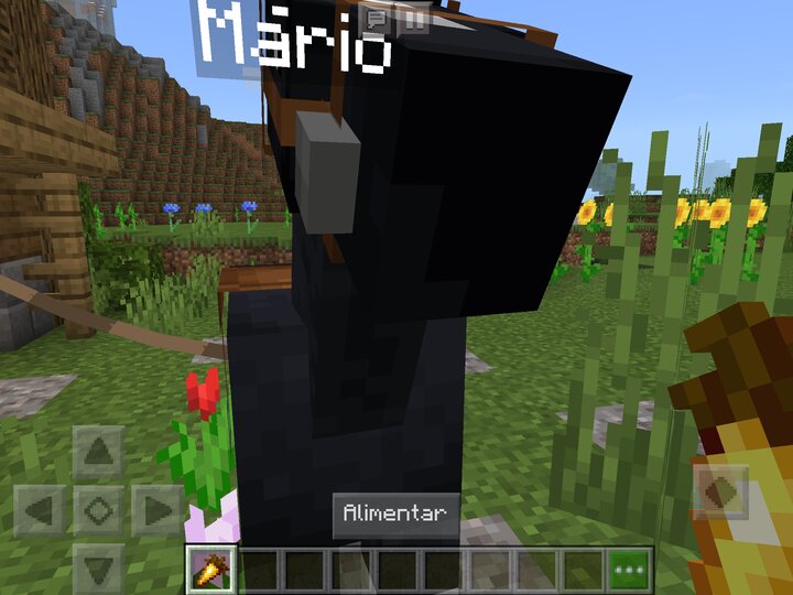 MagmaMusen house adaptade Minecraft Map