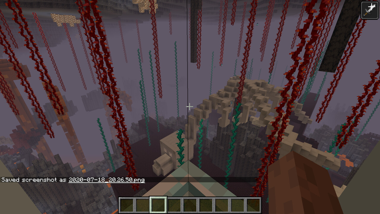 nether contest Minecraft Map