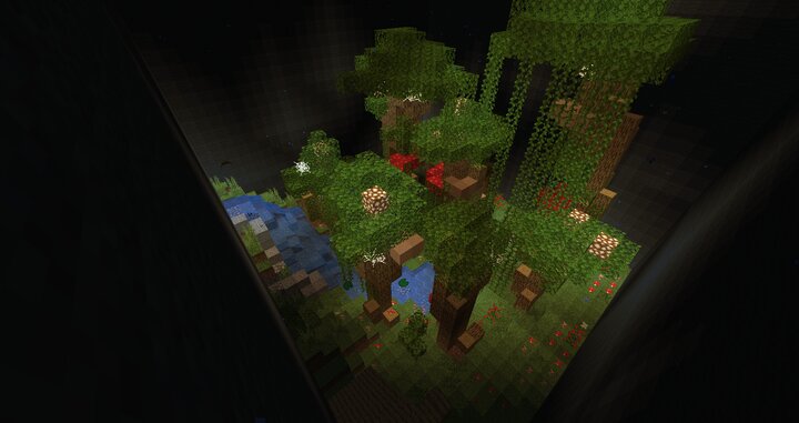 Nature Walk Through Lush Trees Minecraft Map
