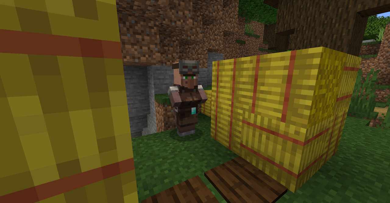 What is the goal? Minecraft Map