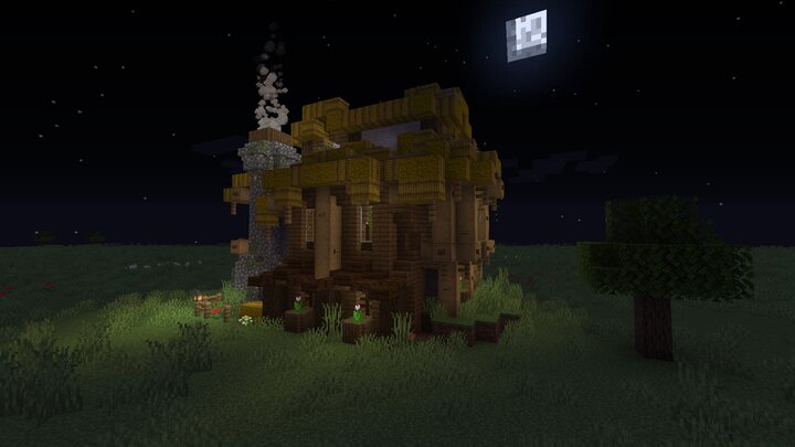 Little Rural House (^w^) Minecraft Map