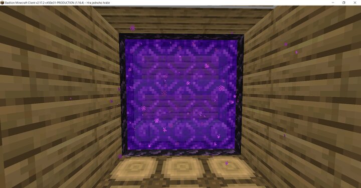 (1.16.4 ONLY) NETHER BOX SURVIVAL Minecraft Map