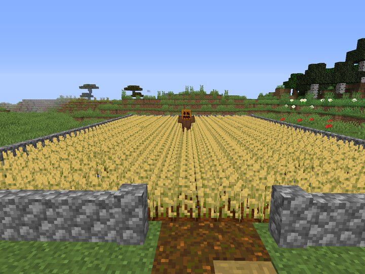 farm Minecraft Map