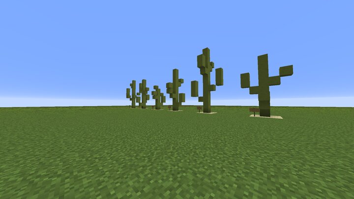 Custom Cacti [World Painter] Minecraft Map