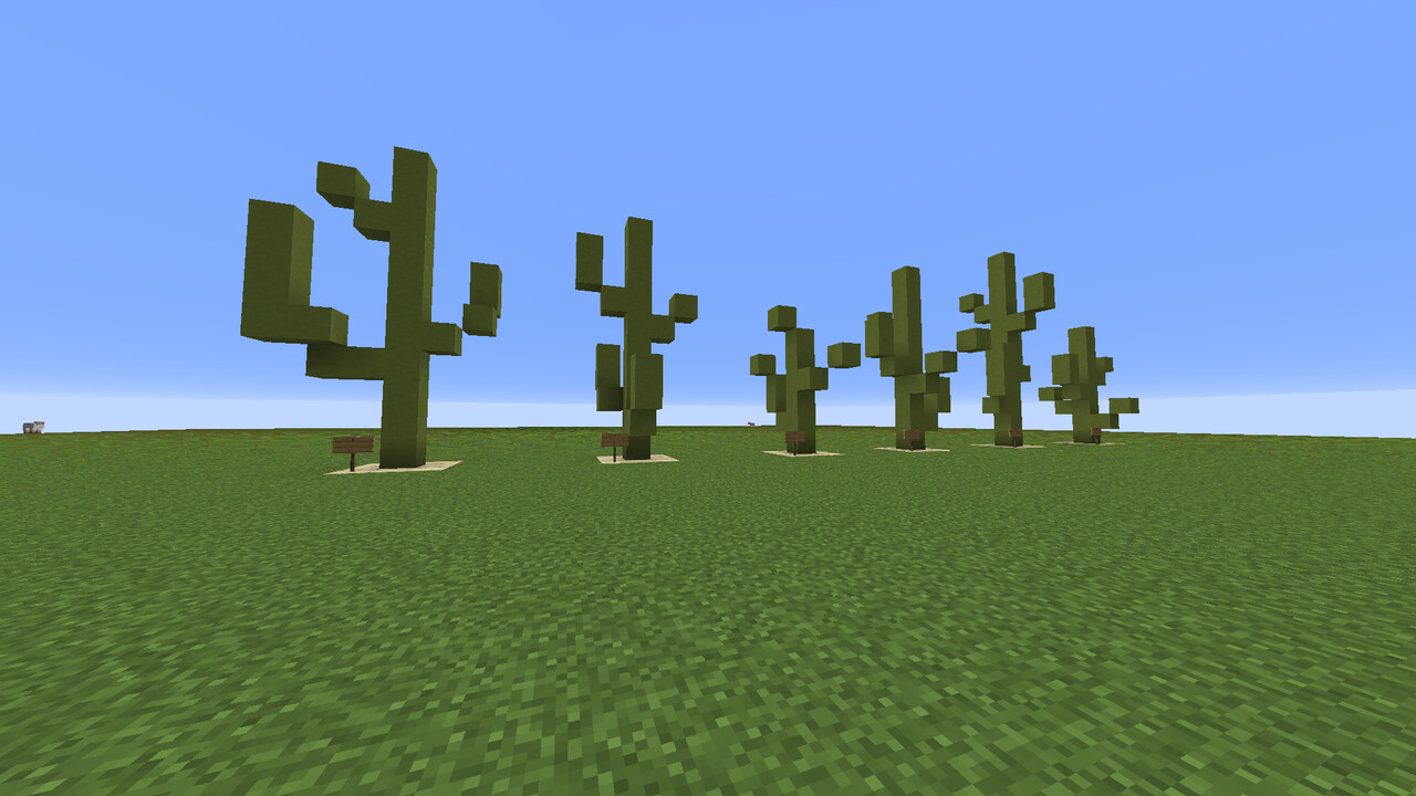 Custom Cacti [World Painter] Minecraft Map
