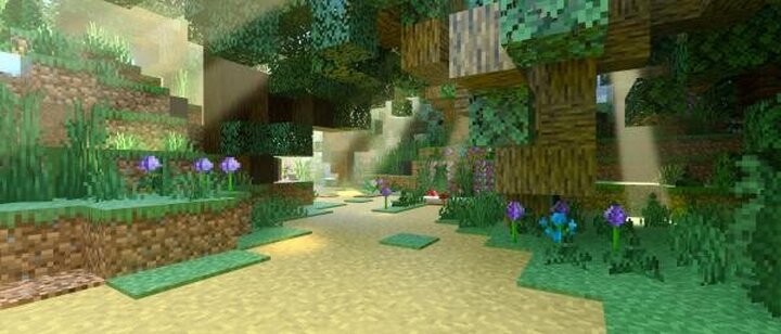 Forest Path Minecraft Map