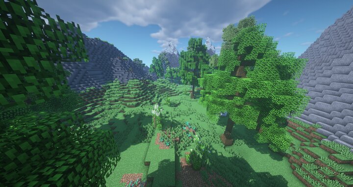 Forest/Spawn [Terra] [free] Minecraft Map
