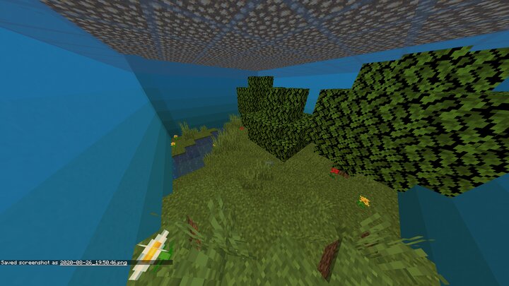 Find the Button C2 Minecraft Map