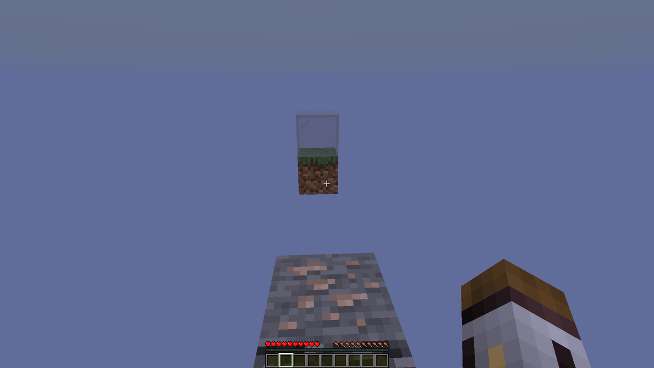 RANDOMIZER SKYBLOCK Minecraft Map