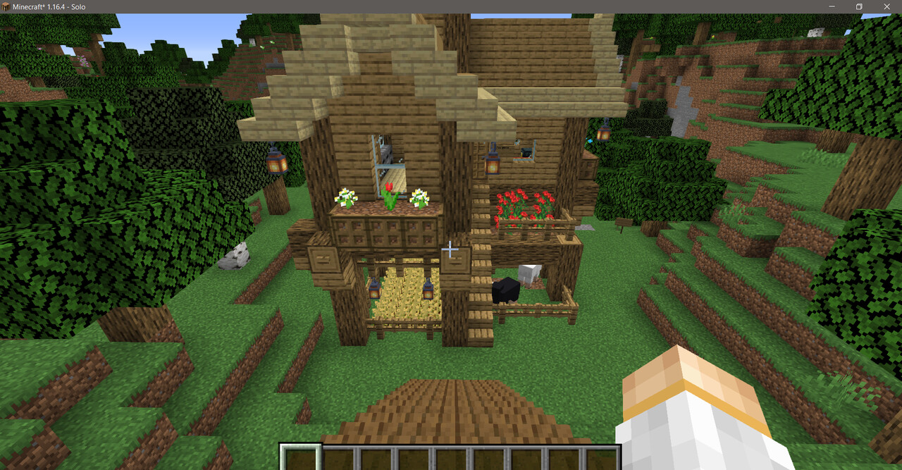 Survival/game map Minecraft Map