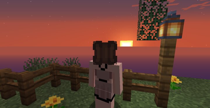 A beautiful place Minecraft Map