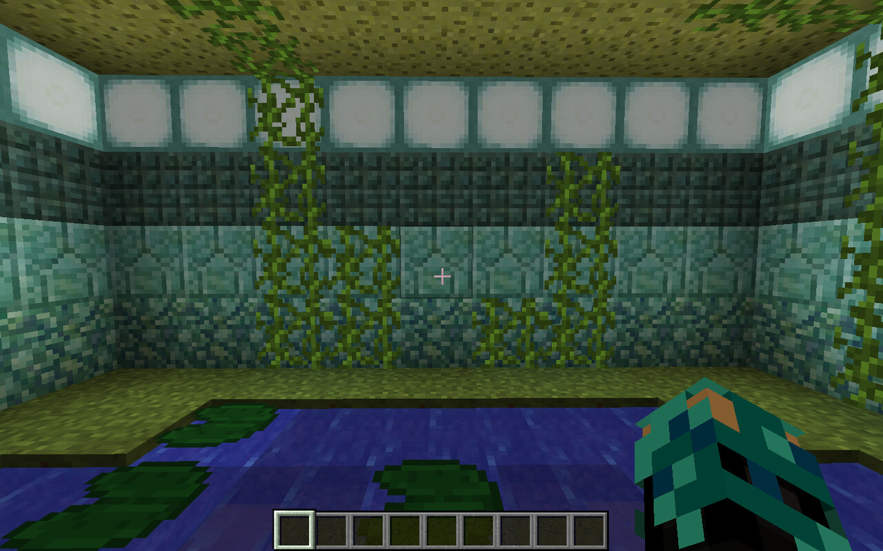 Find the Buttom#1 Minecraft Map