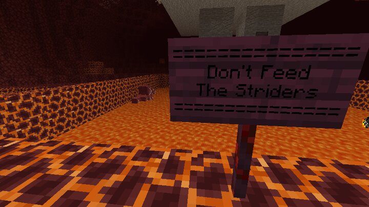 Strider Monument Minecraft Map