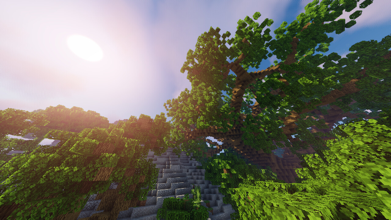 768x512 Jungle Map Minecraft Map
