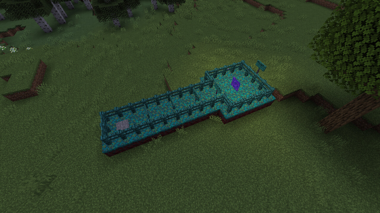 randomizer areana Minecraft Map