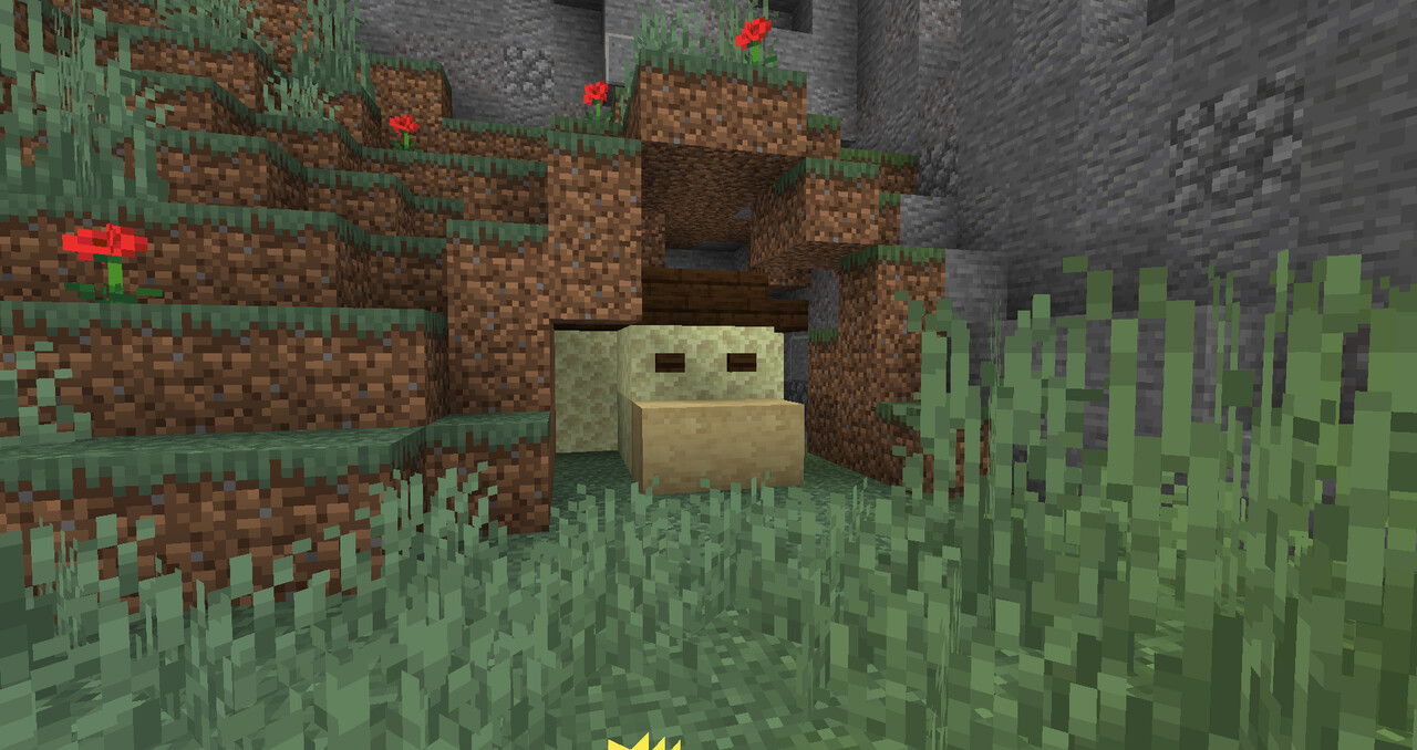 Turtleduck Enclosure Minecraft Map