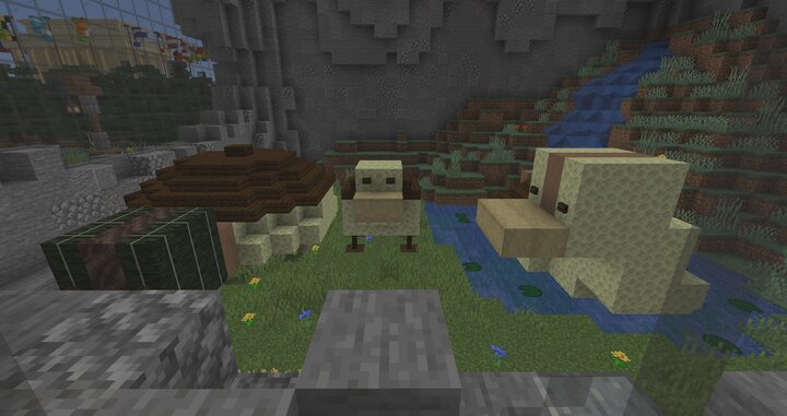 Turtleduck Enclosure Minecraft Map